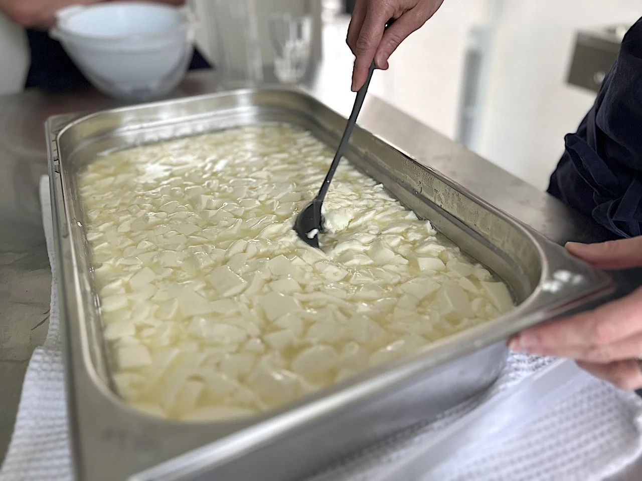 How easy is it to make cheese — Deanna Thomas