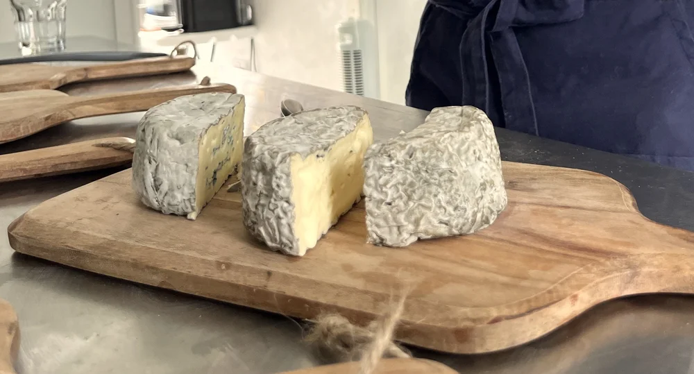 How easy is it to make cheese — Deanna Thomas