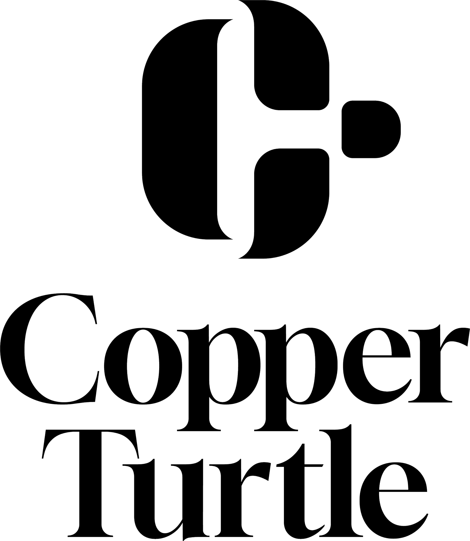 Copper Turtle - Leaders of Dynamic Organisational Change