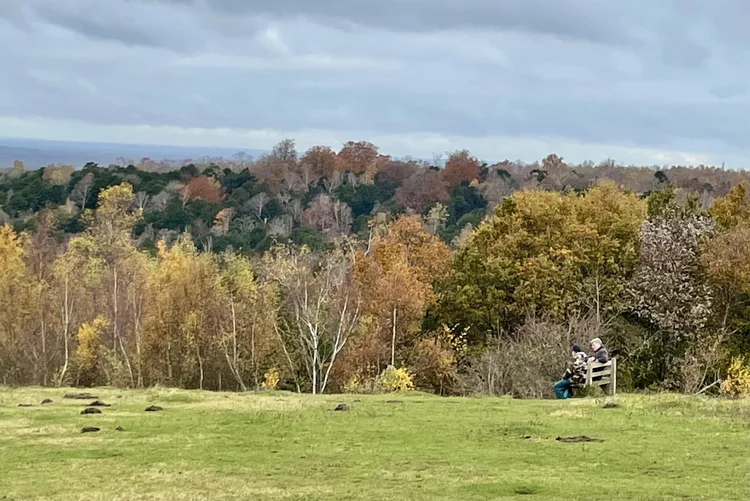 Box Hill — Walking In Circles
