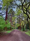 Hainault Forest Country Park — Walking In Circles