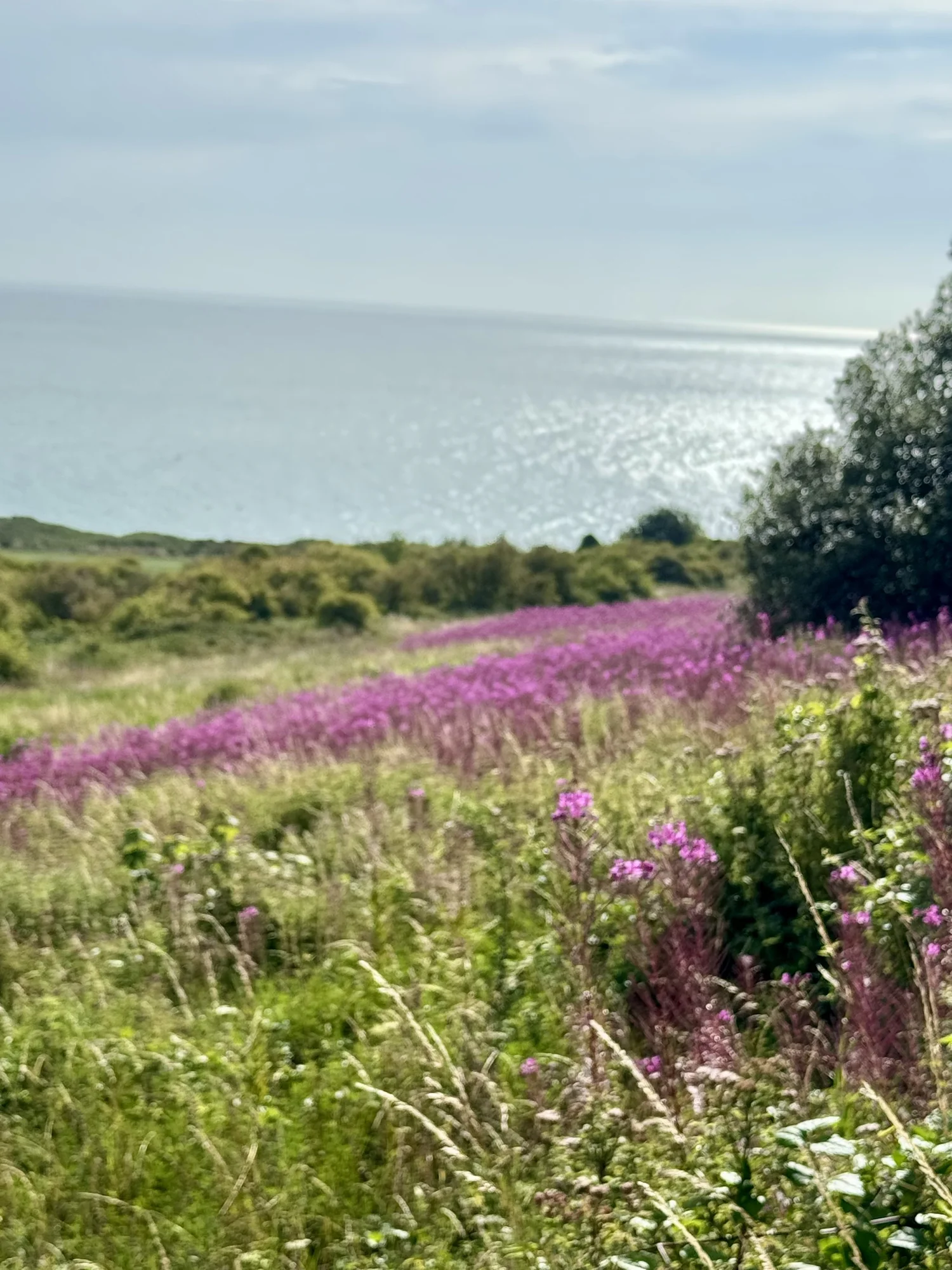Seven Sisters to Alfriston Loop — Walking In Circles