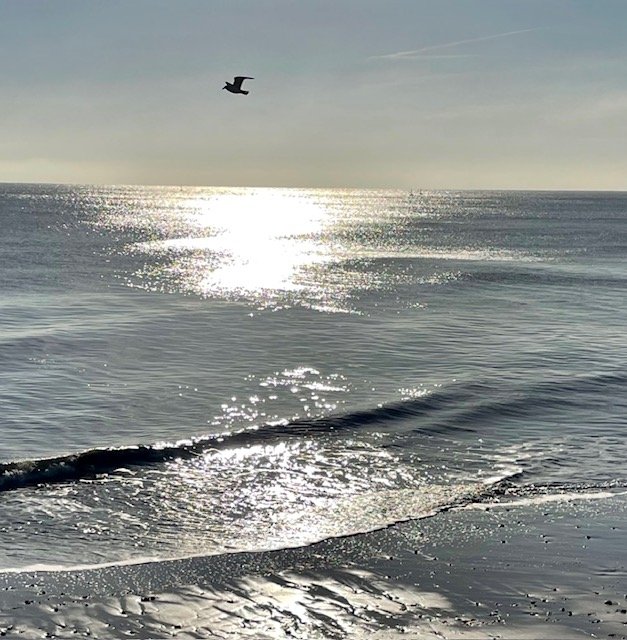 Viking Coastal Trail — Walking In Circles