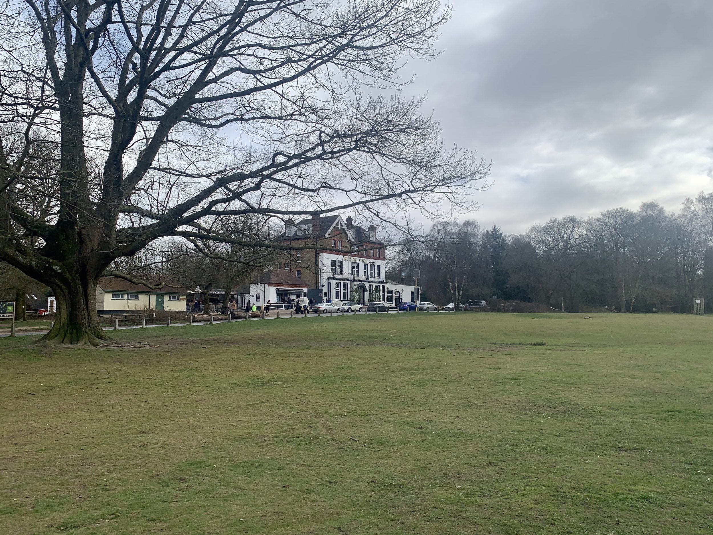 Epping Forest — Walking In Circles