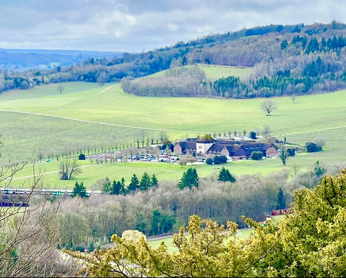 The Surrey 3 Peaks Challenge — Walking In Circles