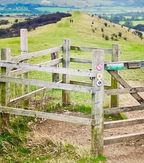 Ashridge Estate Boundary Trail — Walking In Circles
