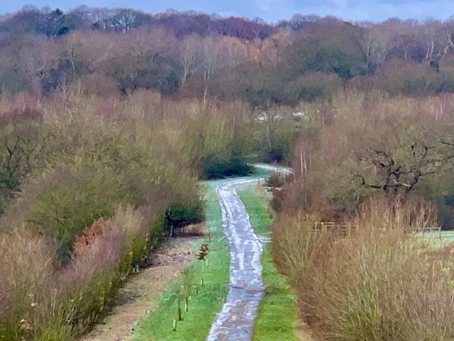 Hainault Forest Country Park — Walking In Circles