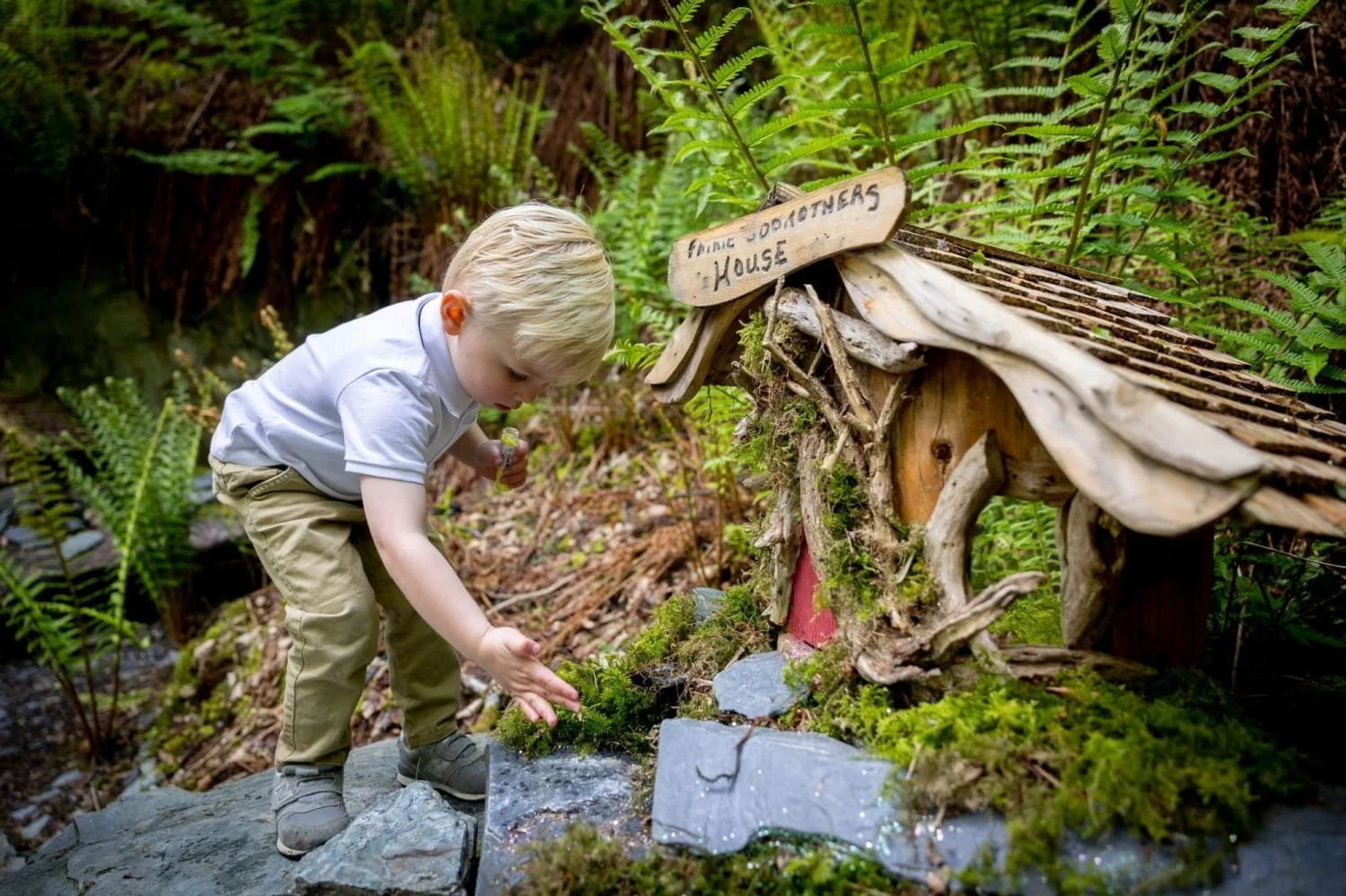 The Ultimate Guide to Family Walks in the UK — Walking In Circles