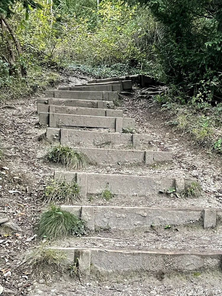 Box Hill — Walking In Circles