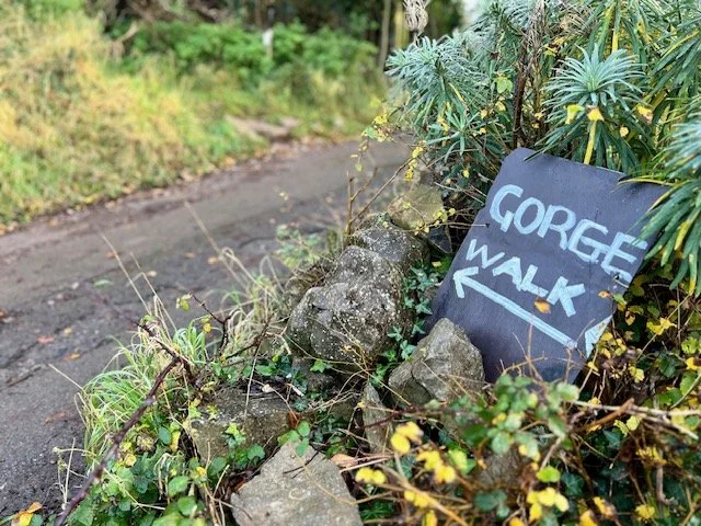 Cheddar Gorge — Walking In Circles