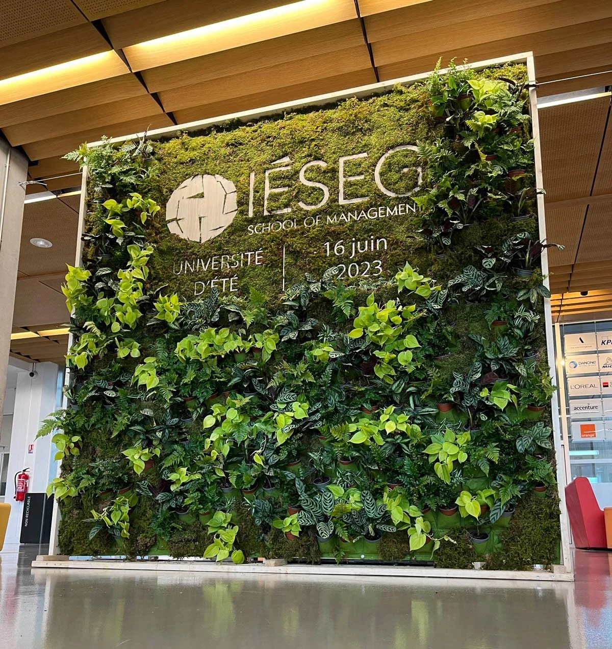 Photocall — PLATAN - Artisans de la nature