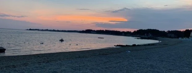 Friends of Bayley Beach