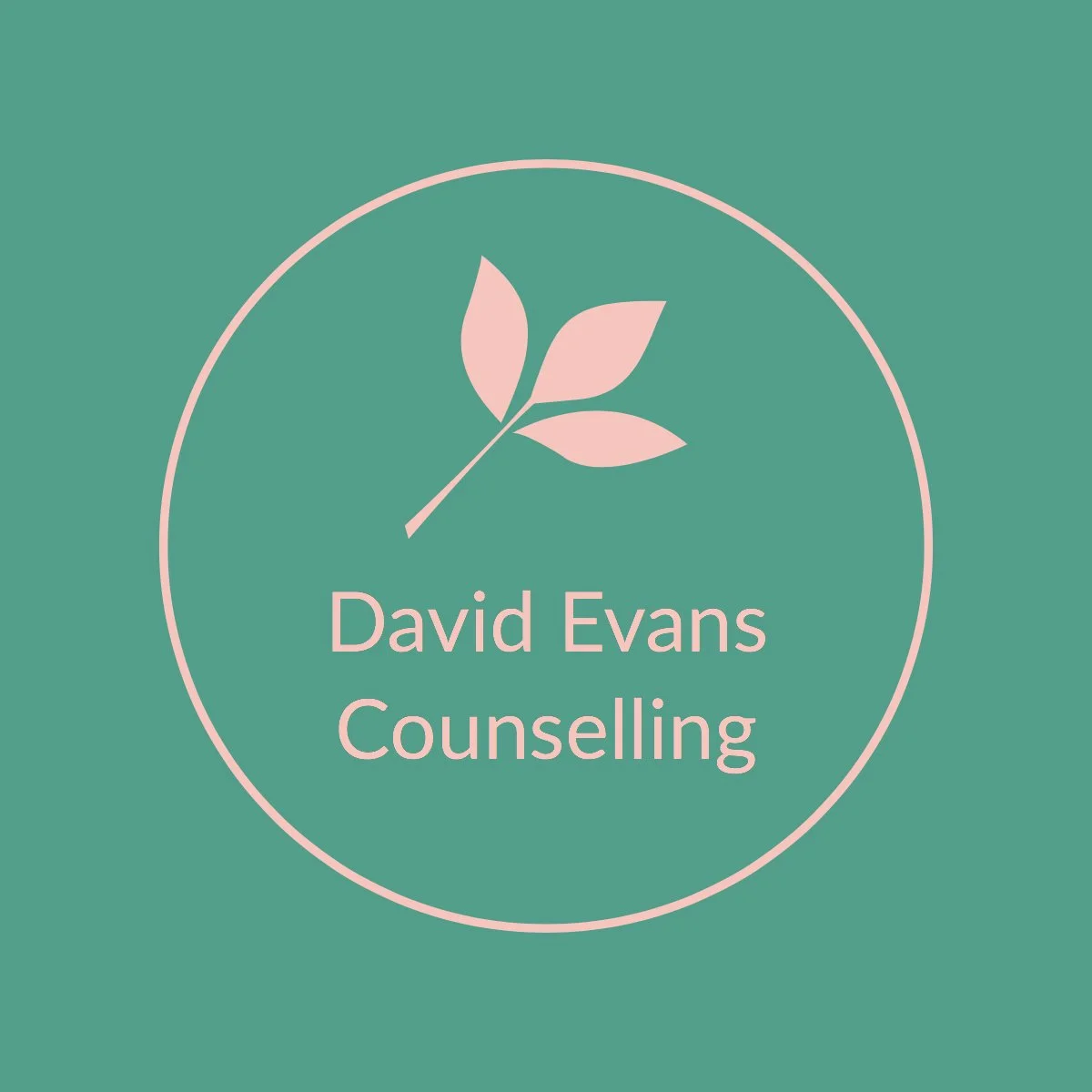 About — David Evans Counselling