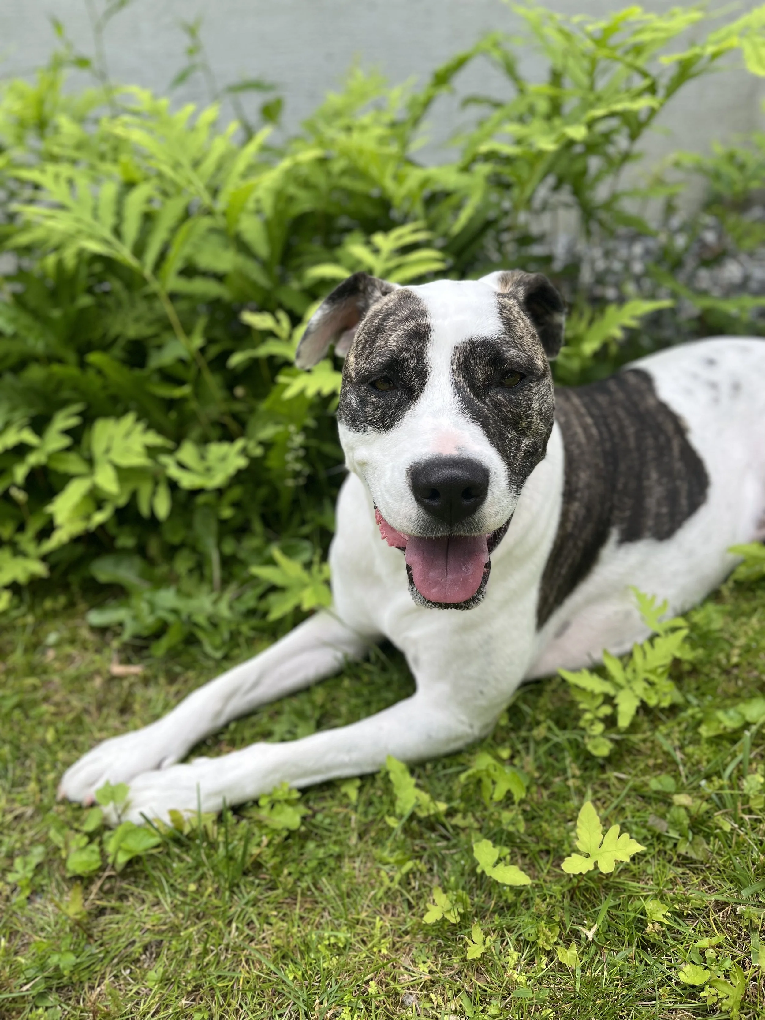 Previous Work — Nick's Custom Canvas