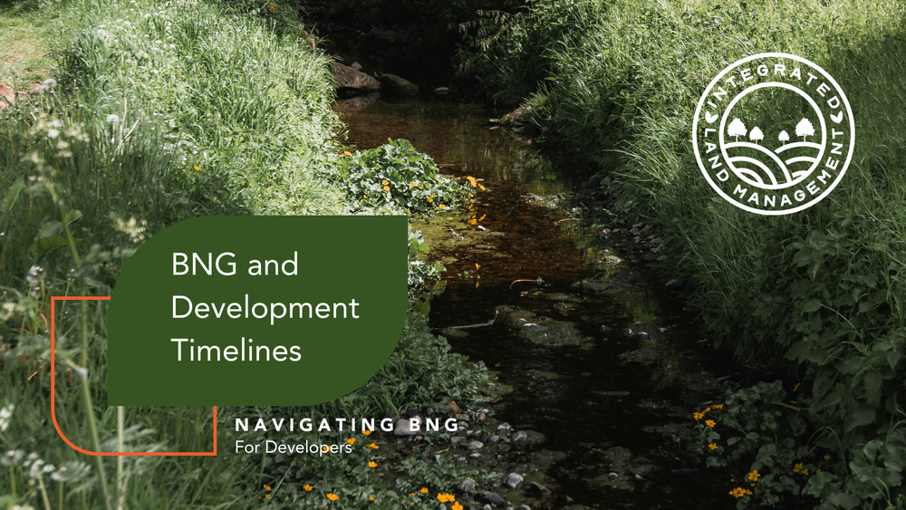 BNG Timelines for Developers