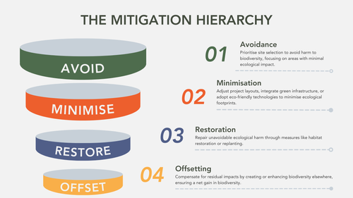 Bng Mitigation Hierarchy Biodiversity Gain Hierarchy Explained Avoid Minimise Restore Offset
