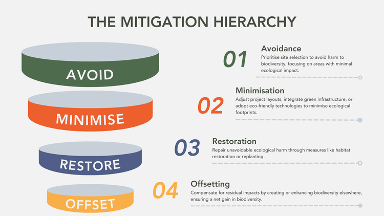 BNG Mitigation Hierarchy: Biodiversity Gain Hierarchy Explained (Avoid ...