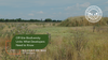 Off-Site Biodiversity Units: A Developer's Guide to BNG