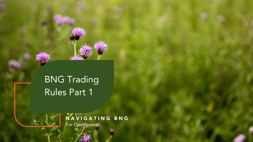 BNG Trading Rules: A Guide for Developers Pt.1