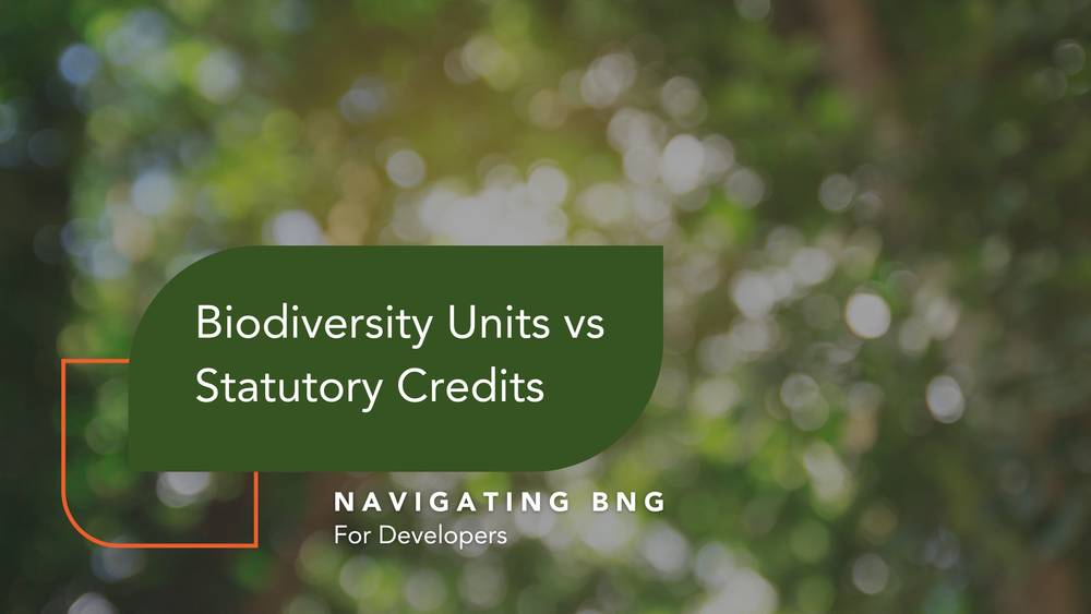 Understanding BNG: A Developer’s Guide to Biodiversity Units