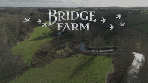 Bridge Farm Biodiversity Gain Site | Habitat Creation Update