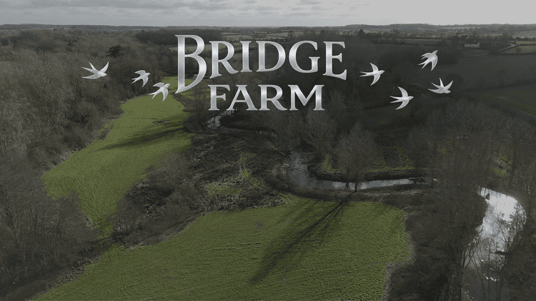 Bridge Farm Biodiversity Gain Site | Habitat Creation Update