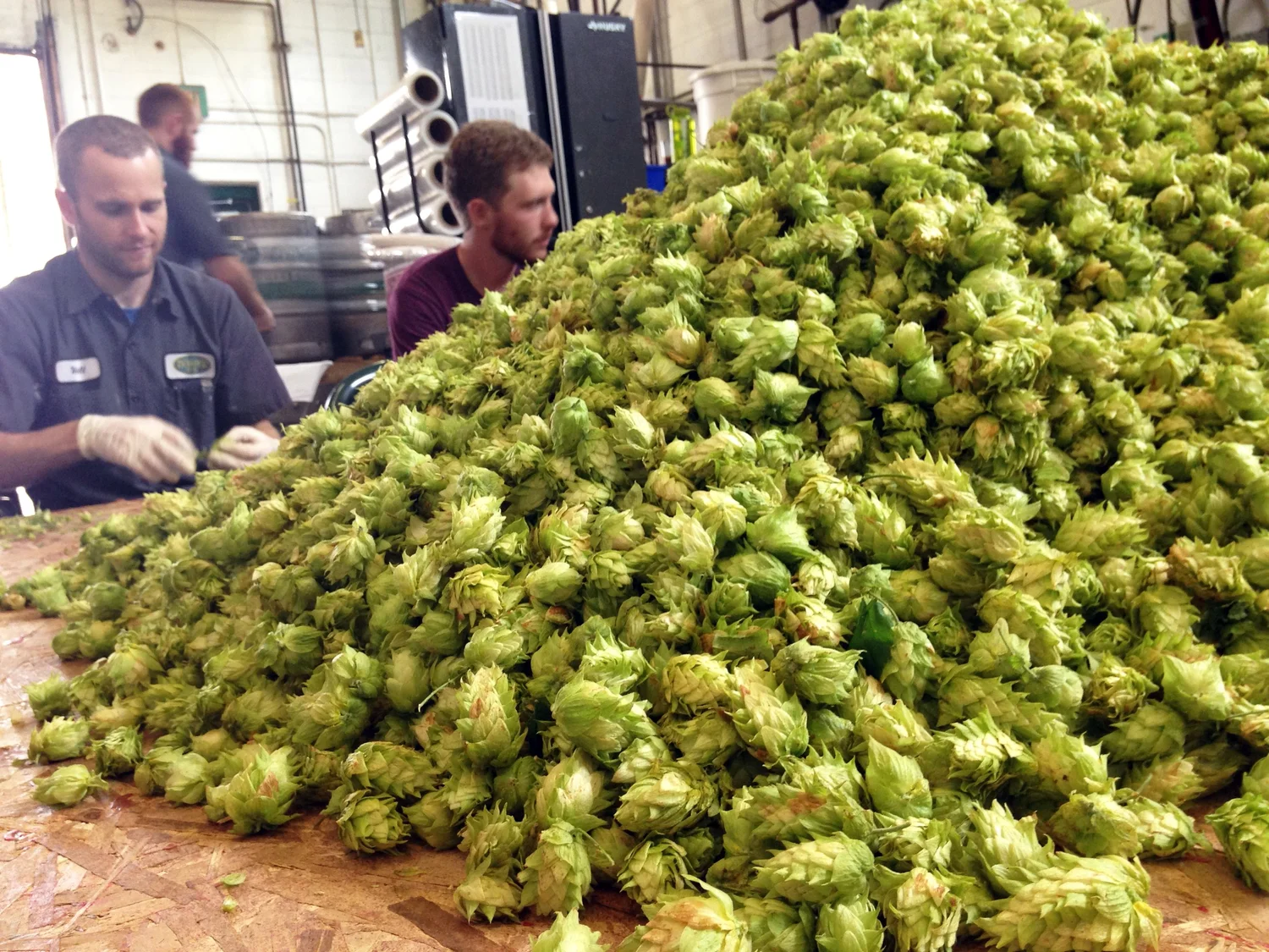 HISTORY — Boulder Beer Co.