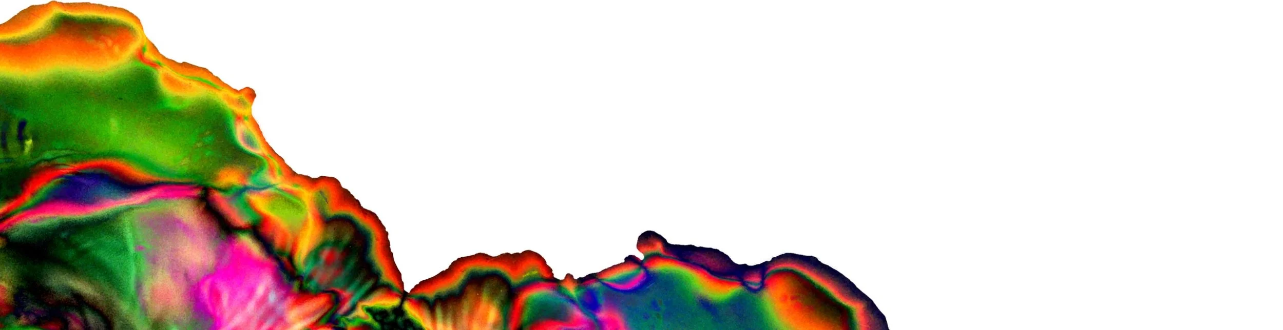 Florida — 710 Labs