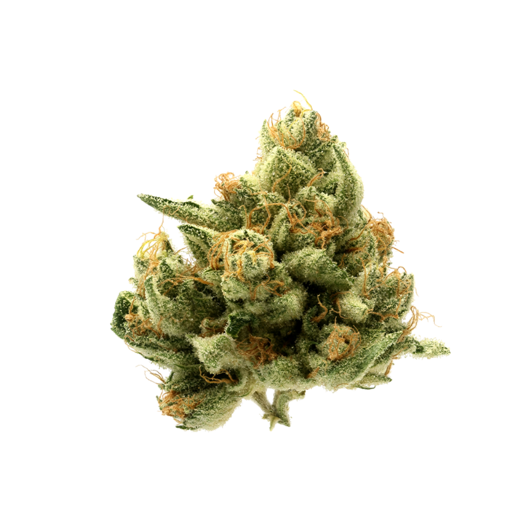Z Cubed — 710 Labs