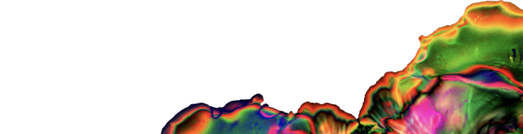 Michigan — 710 Labs