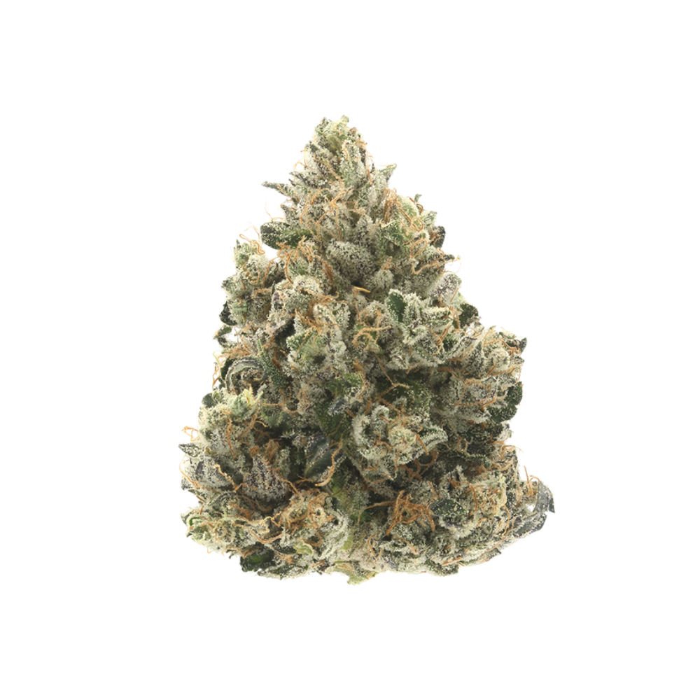 Donny Burger — 710 Labs