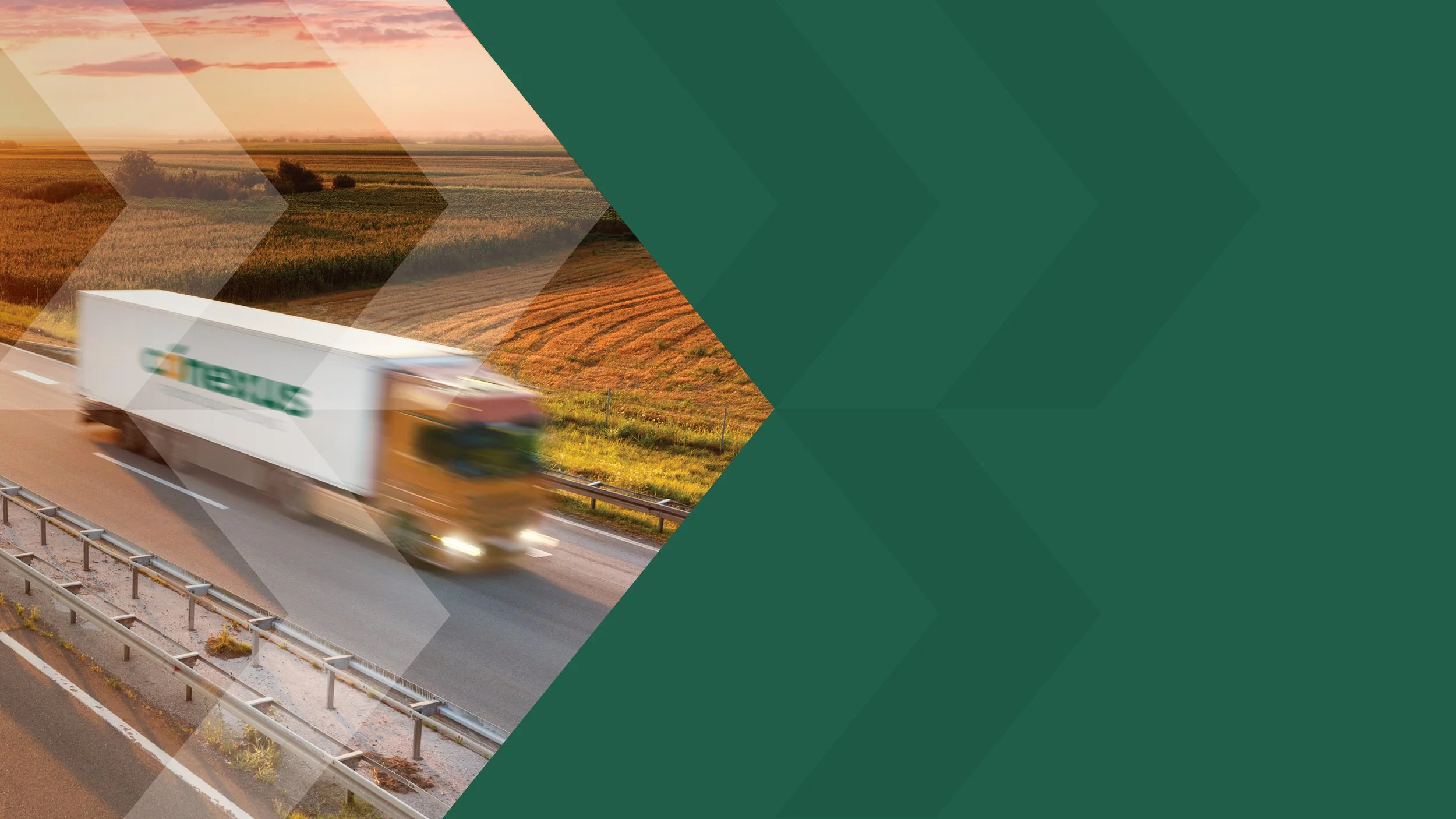 Conexus Food Solutions