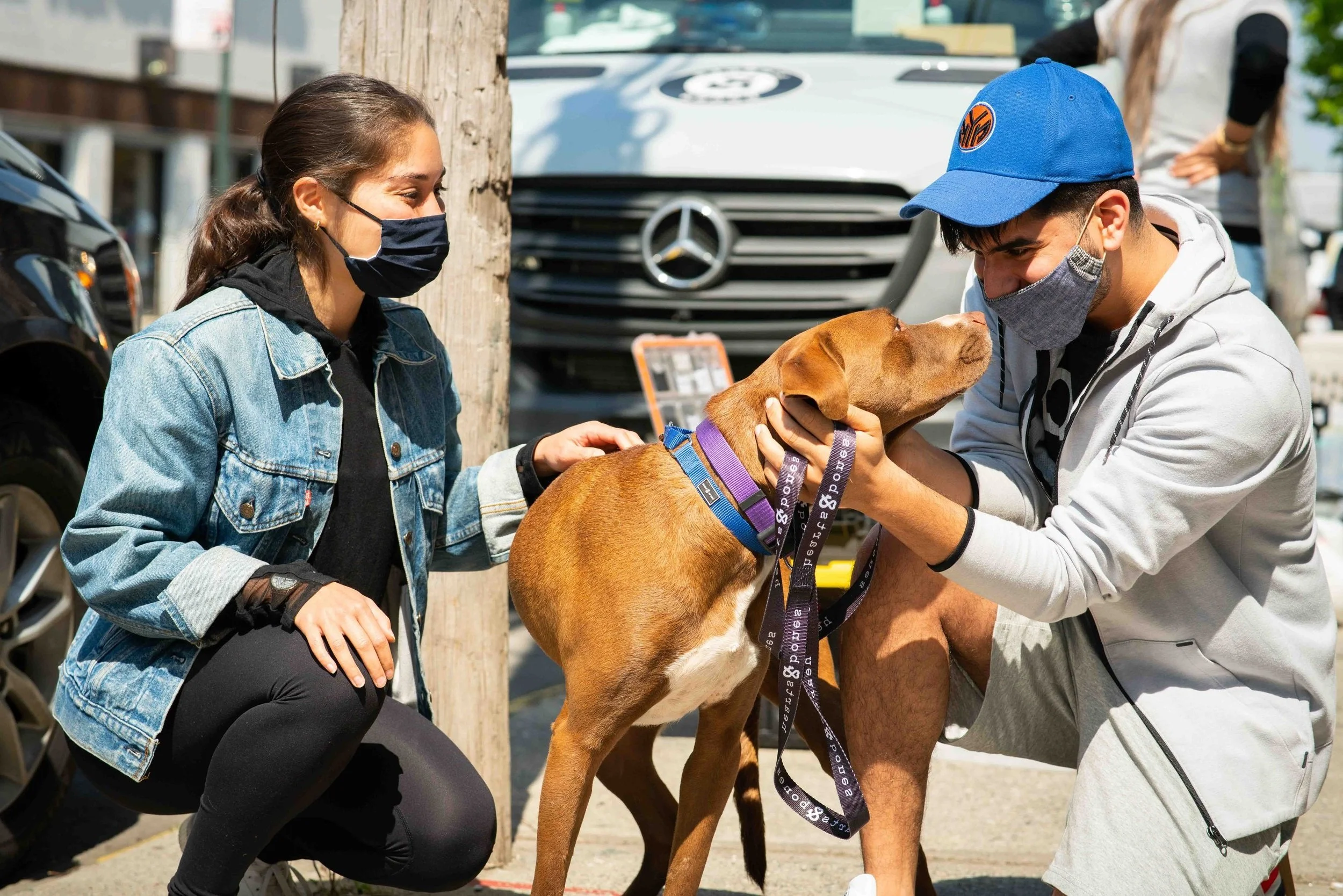 FAQs — Hearts & Bones Rescue