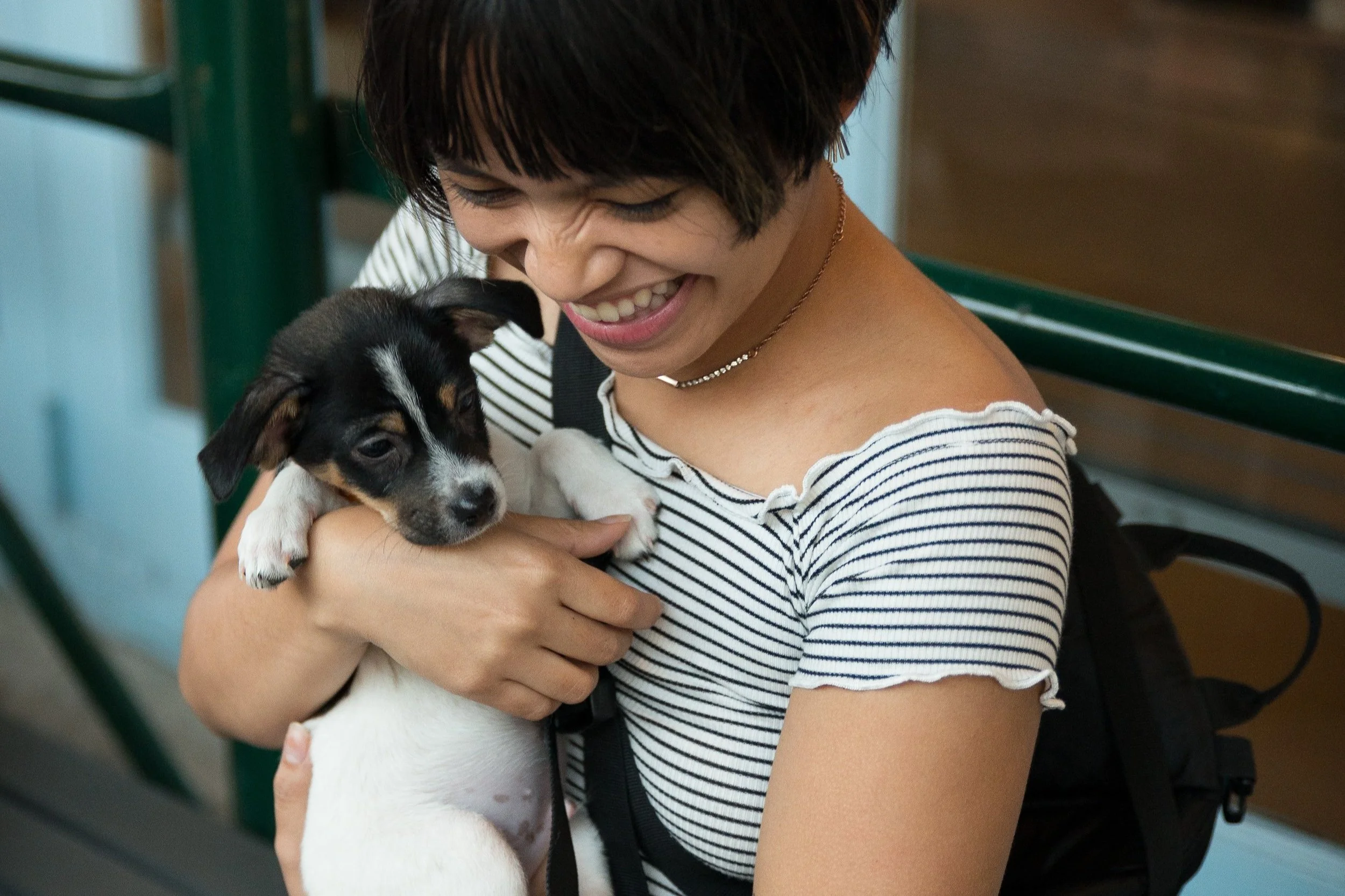 The Dos and Don’ts of Decompression — Hearts & Bones Rescue