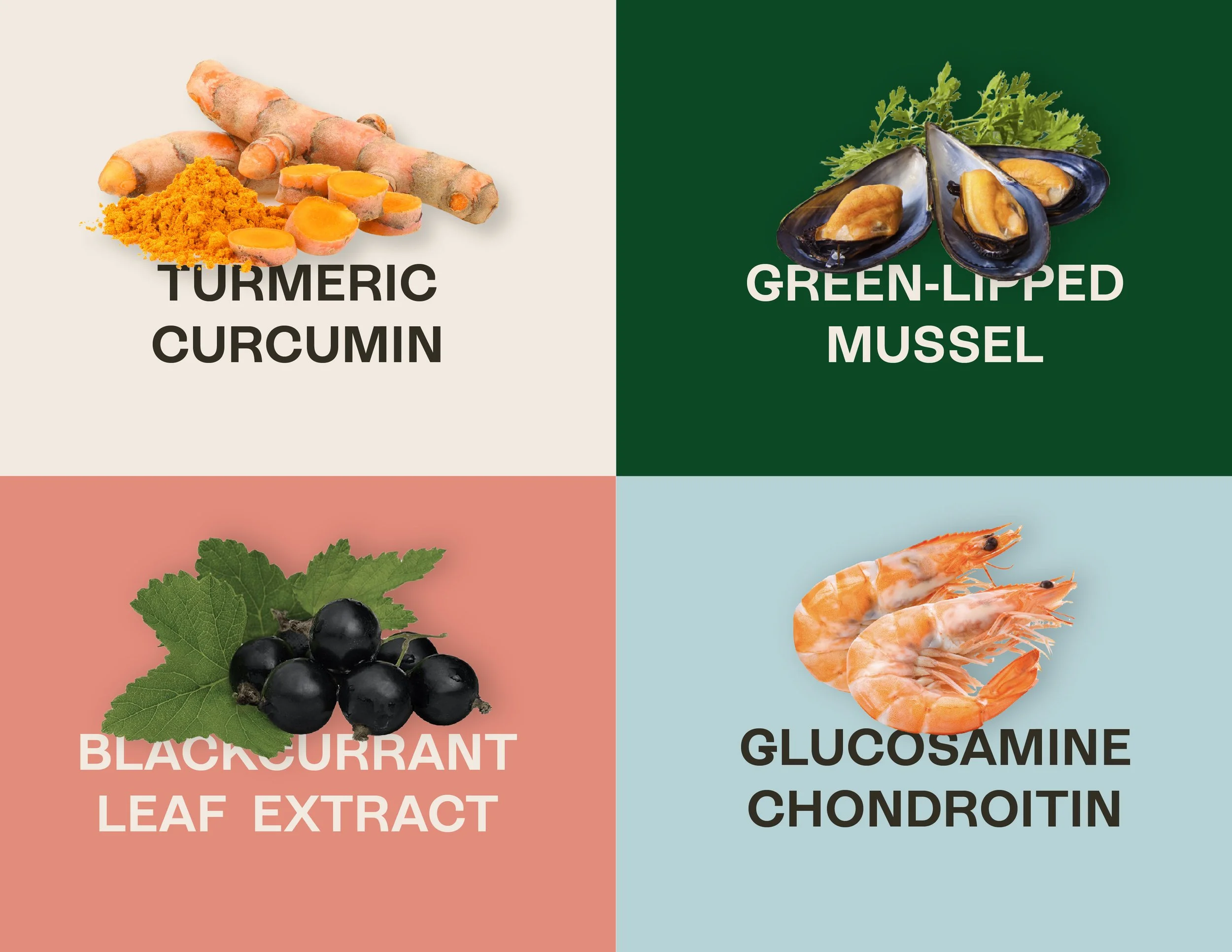 Kindfull — Elizabeth Manda