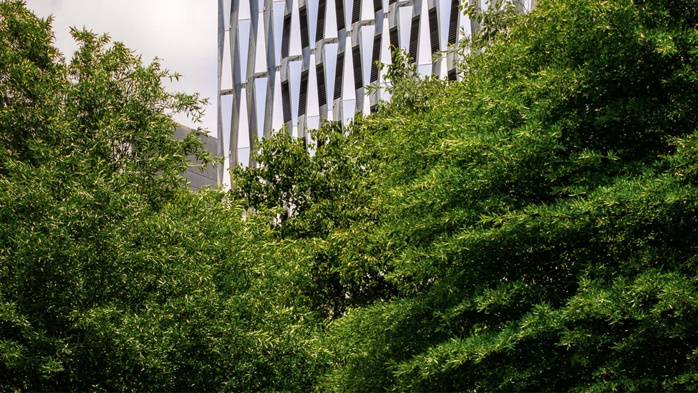 Emory University Hospital - Parking Deck — HRD