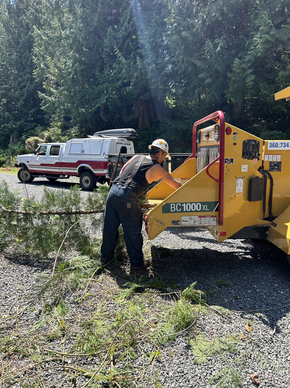 Steve's Tree Service