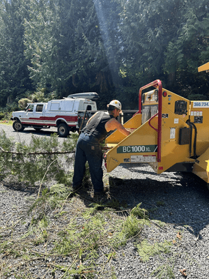 Steve's Tree Service