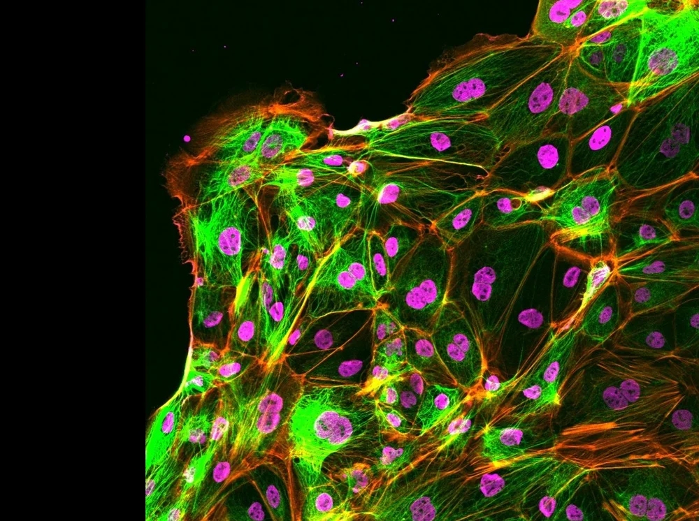 Research — THE YANG LAB at University of Washington