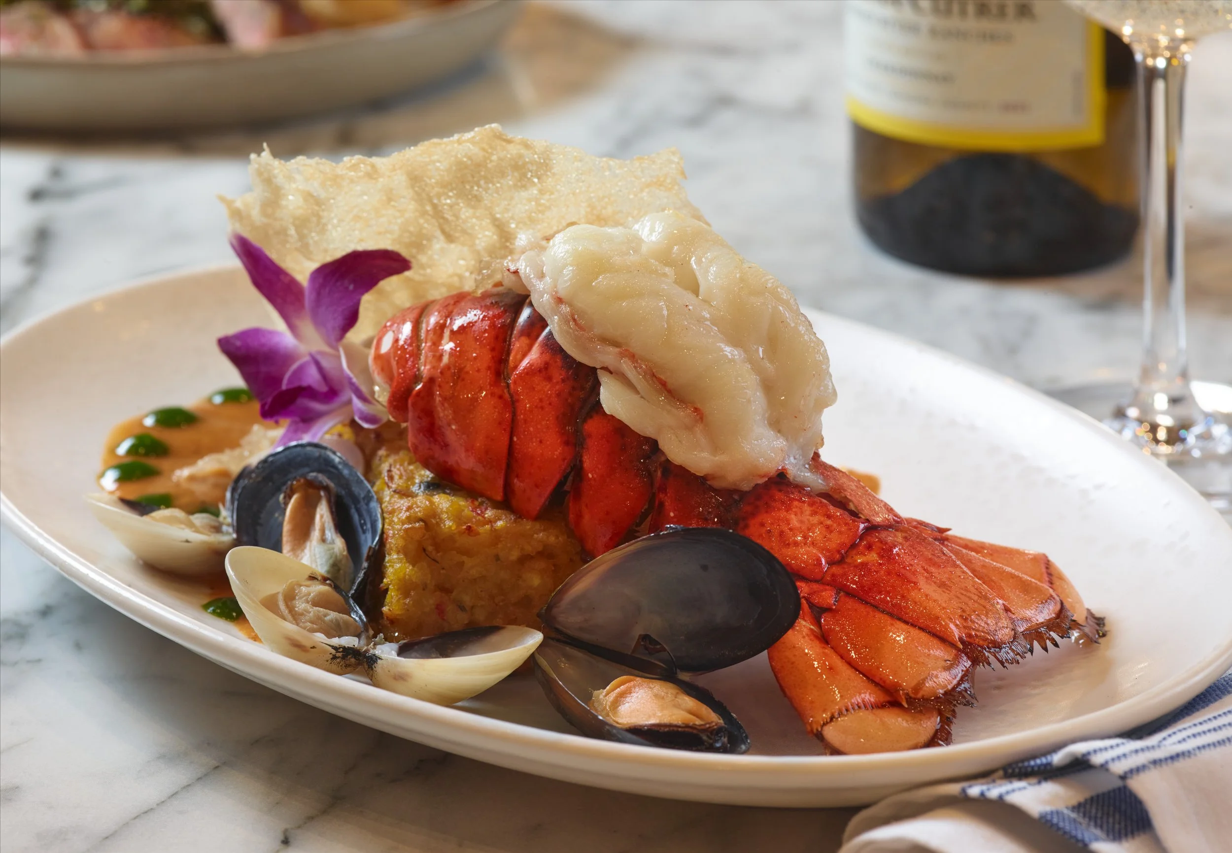 Sal Rosa - Le Meridien Tampa