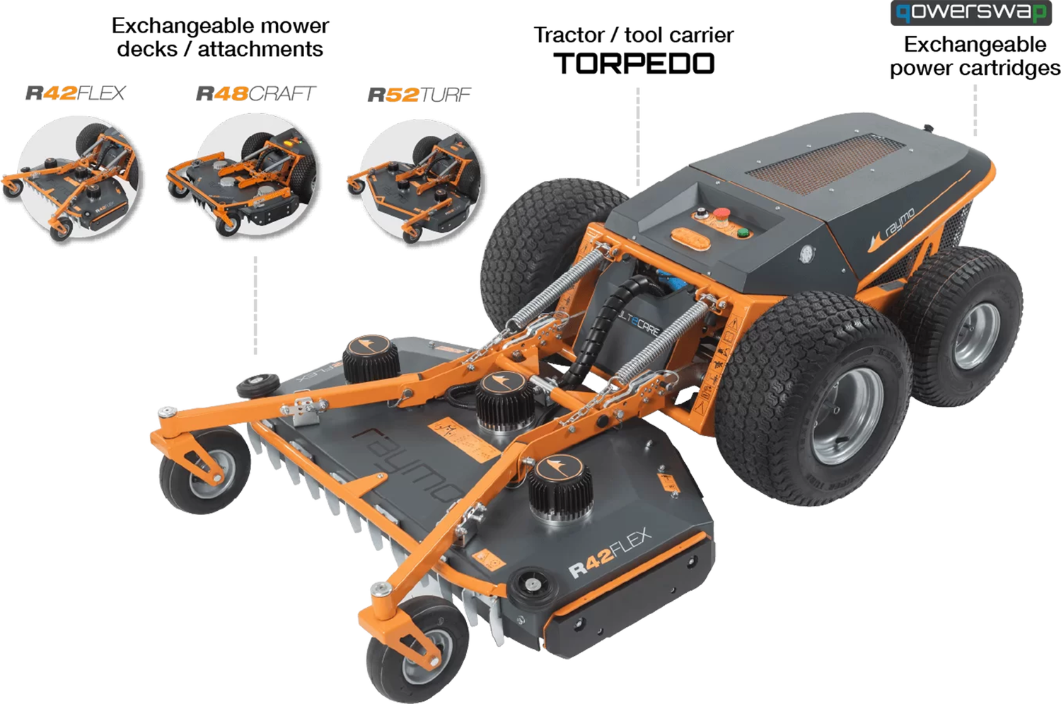 Raymo - Electric Remote Controlled Mower