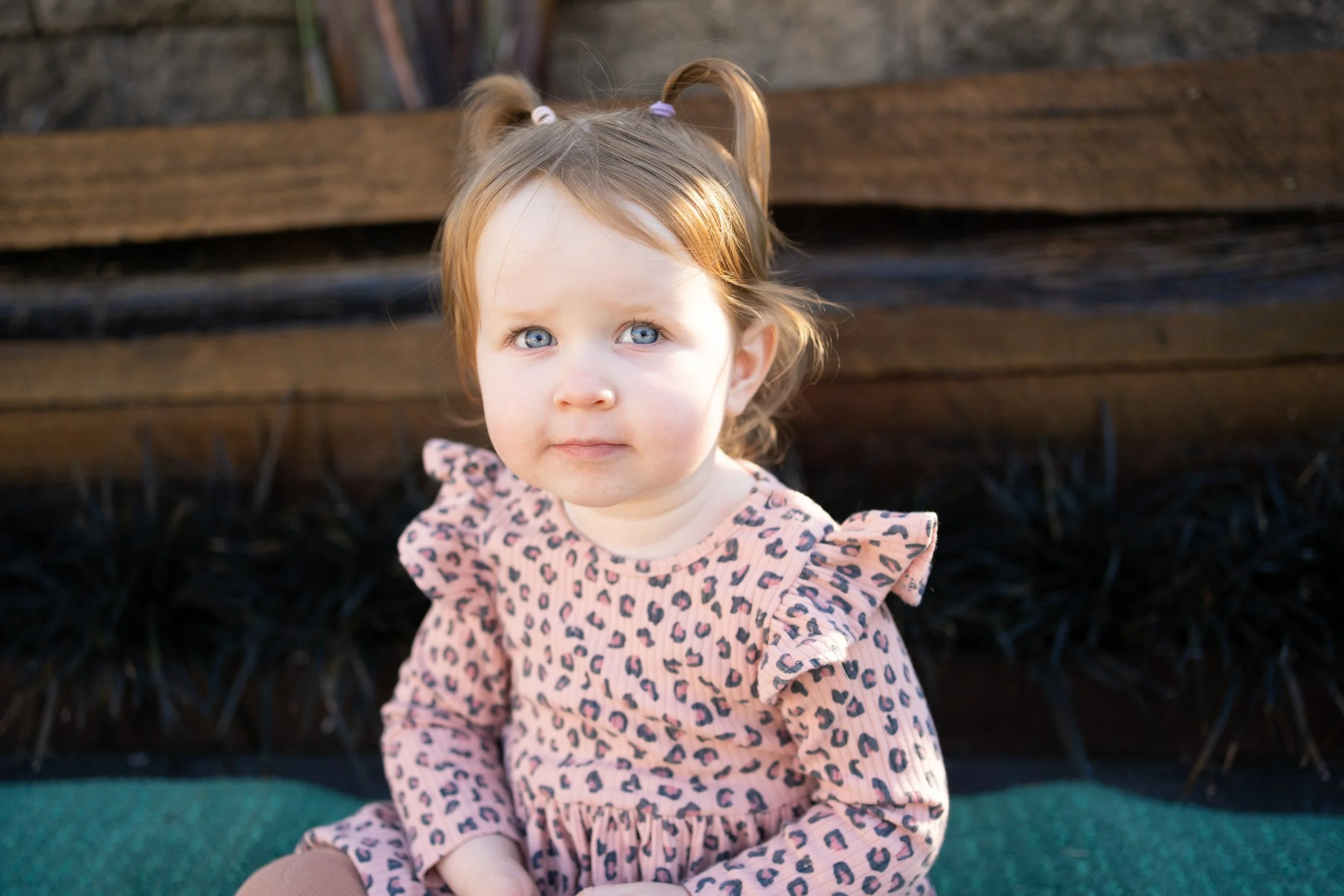 Preschool/Daycare Portraits — The Visual Project