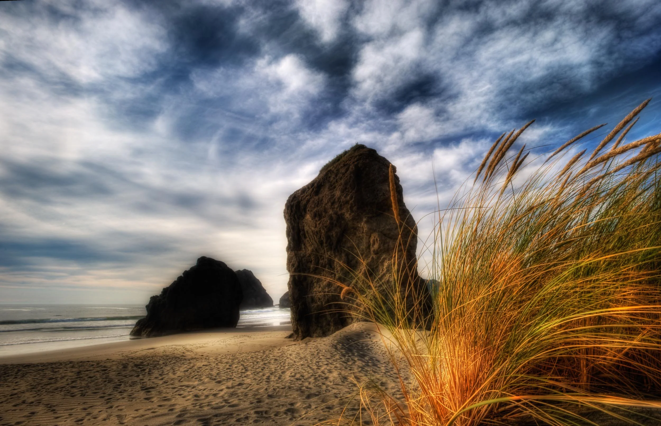 Bumbling about the Oregon Coast — MDSimages