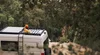 Nook Vans | Luxury Sprinter Camper Van Conversions in Los Angeles ...