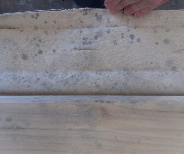 From Discolored Varnish to Smoke Damage: How Conservators Clean Oil ...