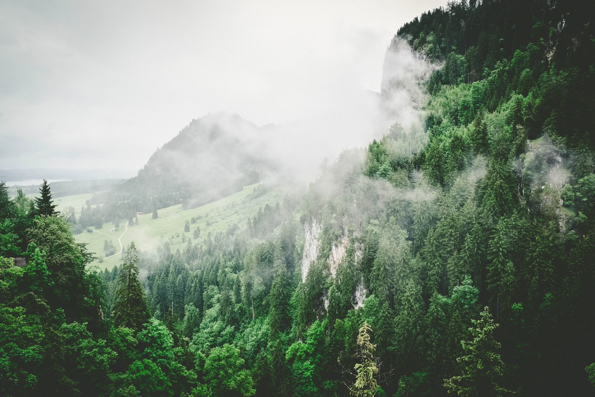 Book a Class — Resilience Yoga & Wellness | Driggs, Idaho