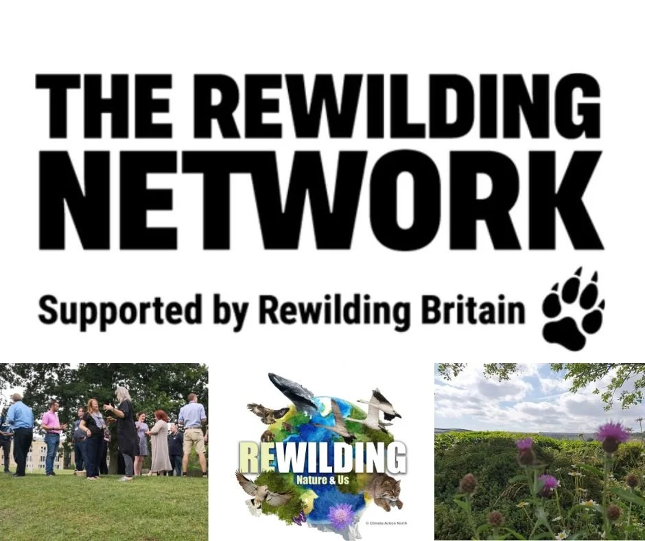 Rewilding Network — Climate Action North
