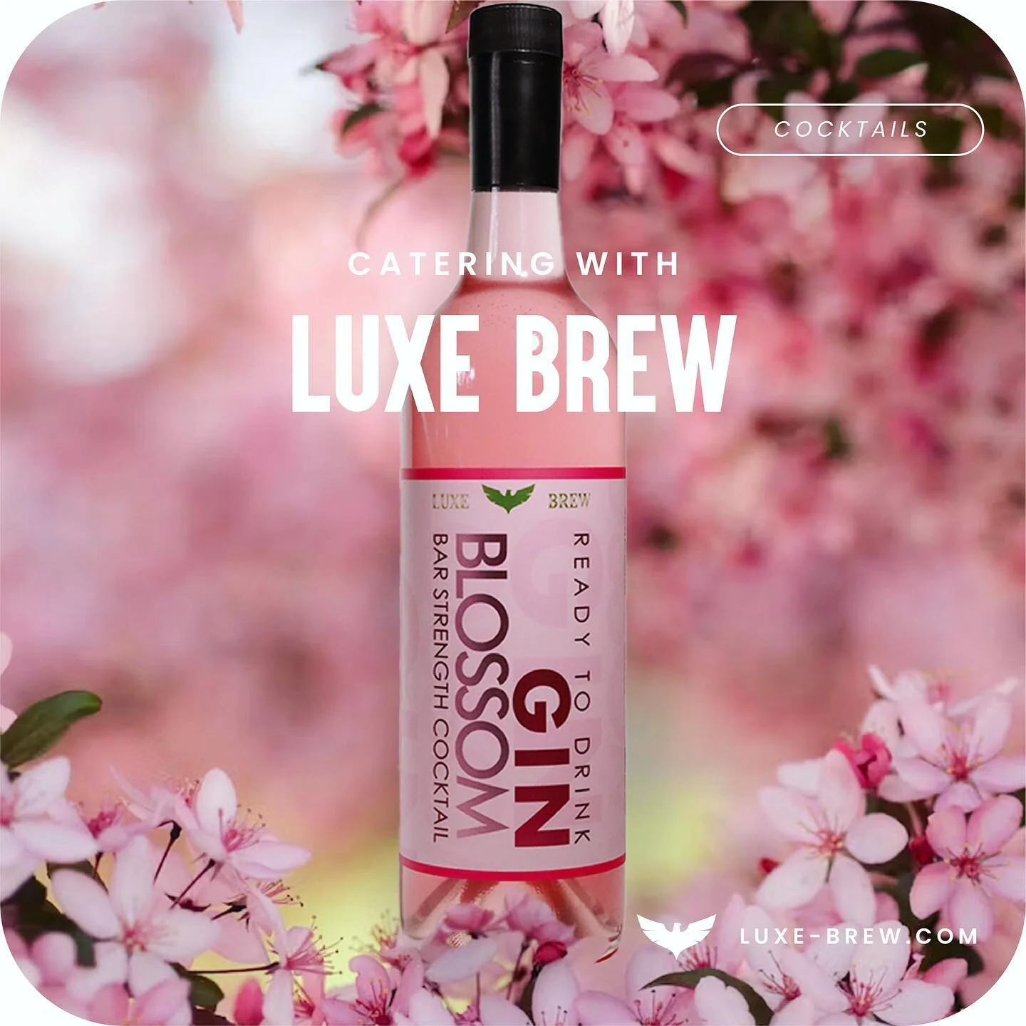 LUXE BREW Melbourne Premixed Cocktails and Luxury Liqueurs