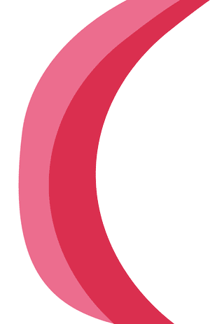 About adoption — Adoption Counts