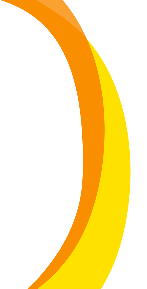 About adoption — Adoption Counts